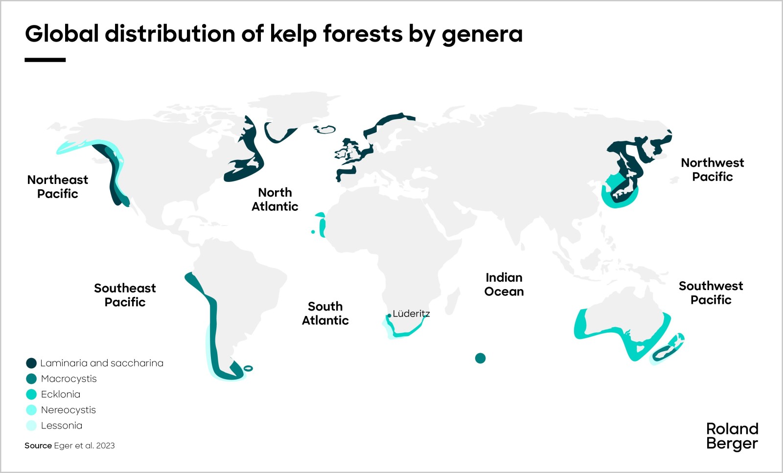 kelp forests upsc