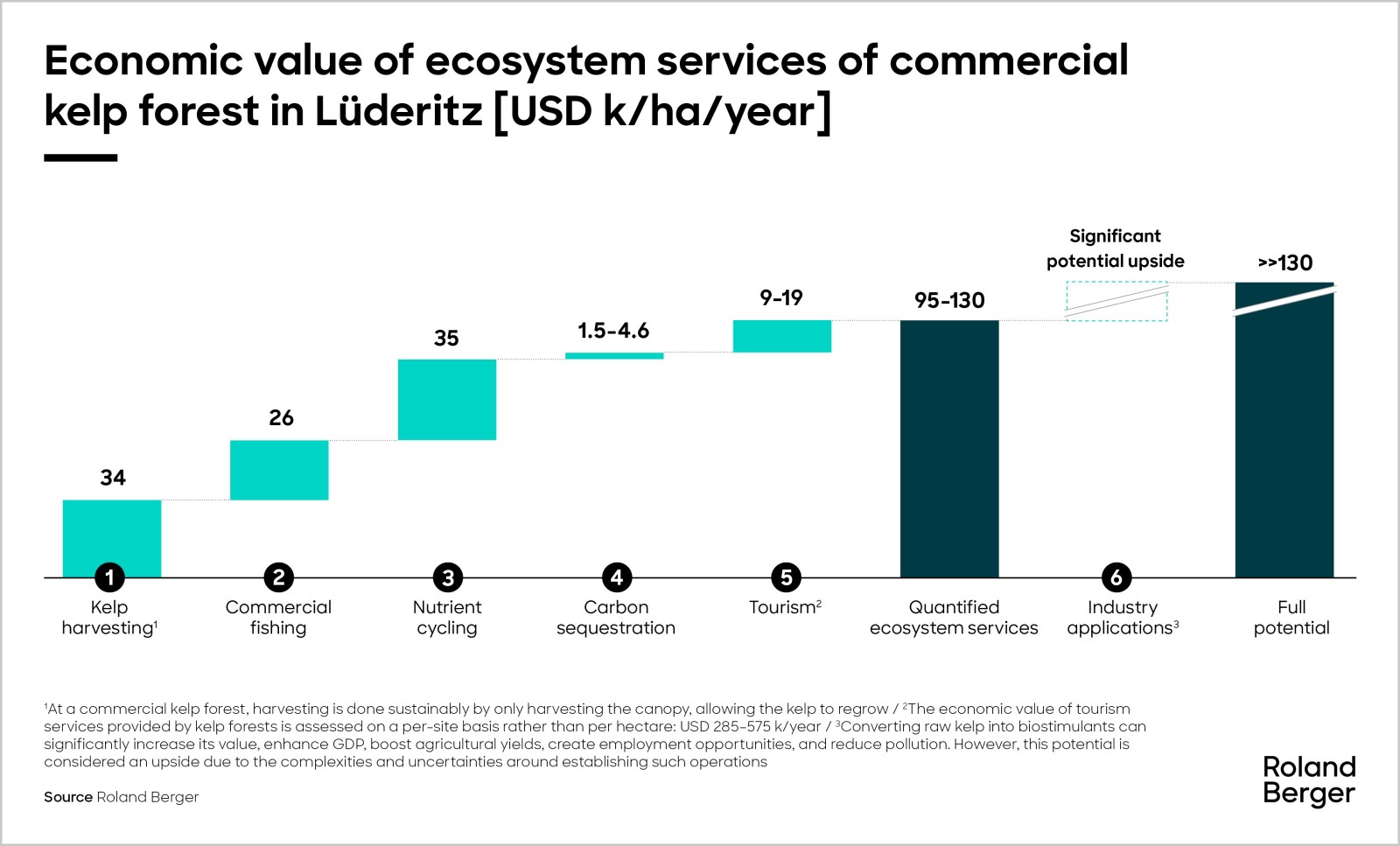kelp forest ecosystem services
