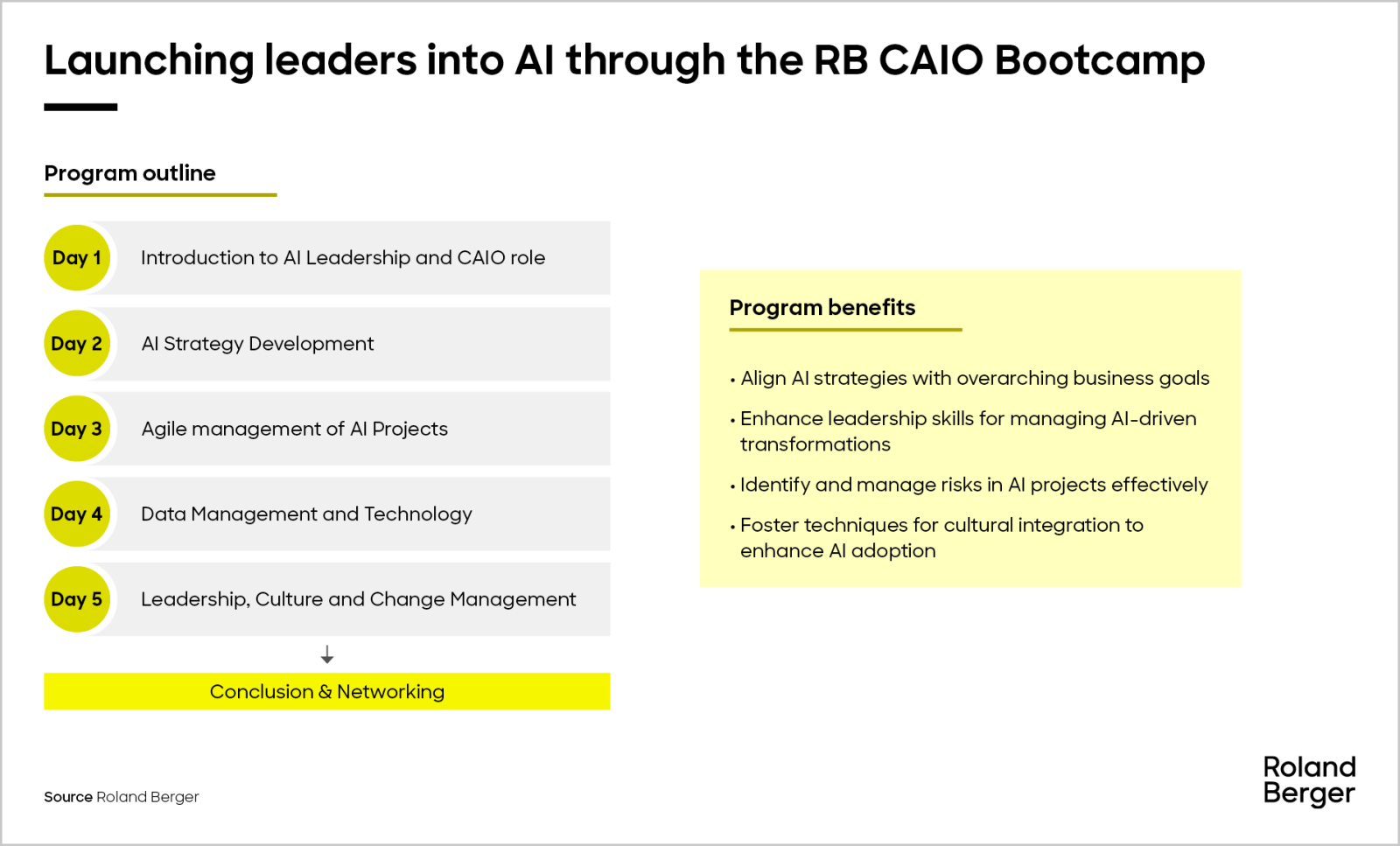 CAIO role in transforming business with AI leadership | Roland Berger