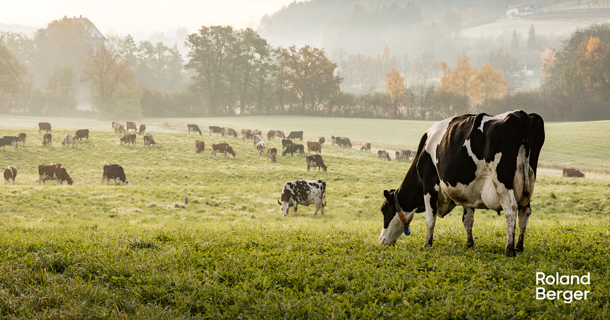 Agriculture & Ingredients | Roland Berger