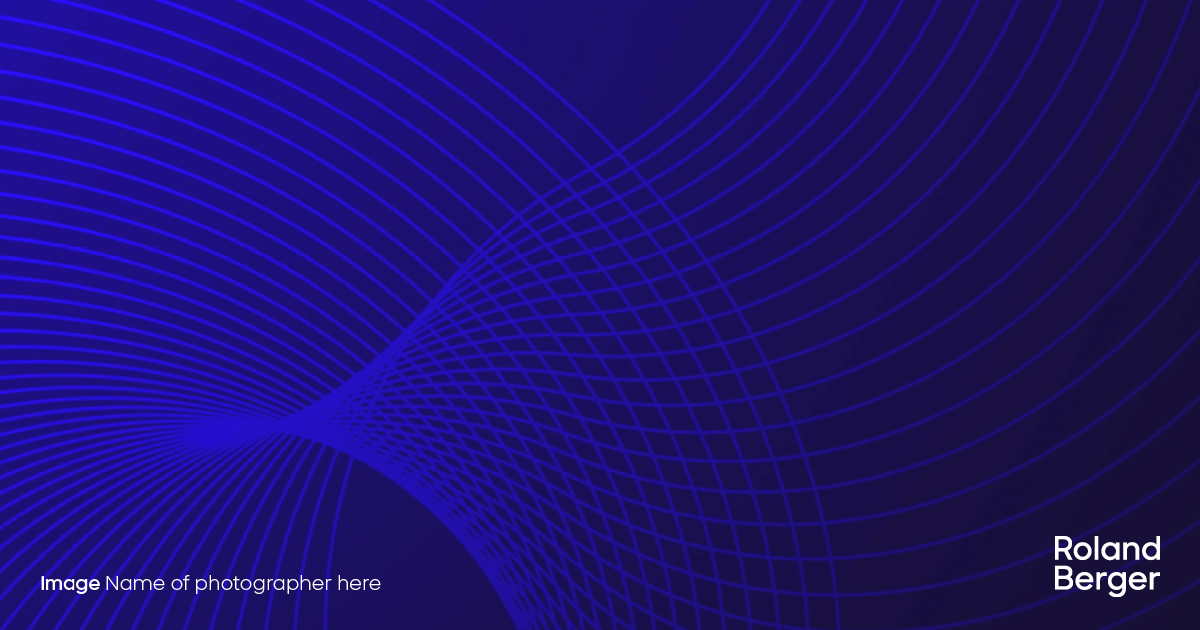 Portfolio Management | Roland Berger