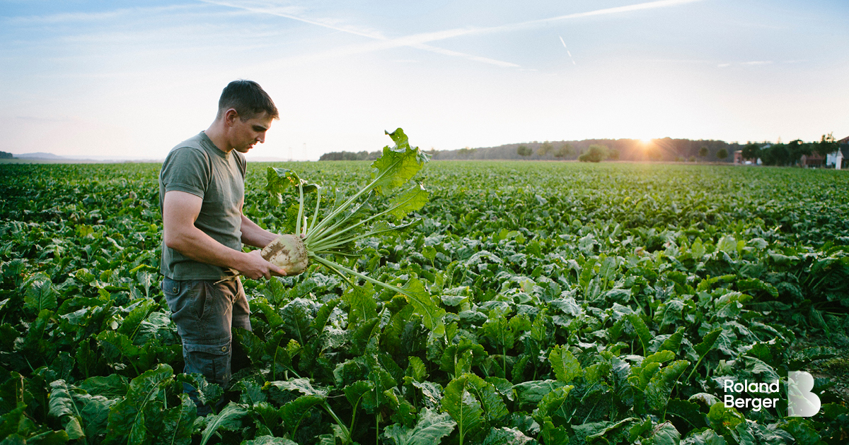 Transformation in the European sugar industry | Roland Berger